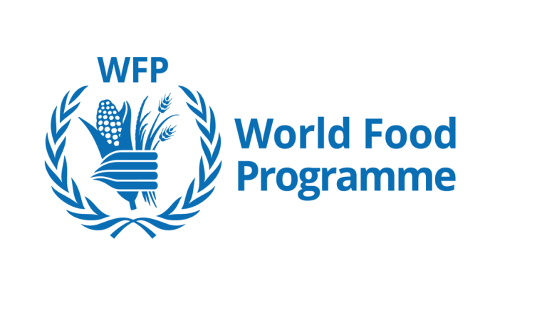 Call For Applications: WFP Innovation Challenge (up to US$100,000 ...