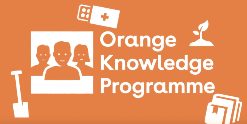 Study in Netherlands: Orange Knowledge Programme 2023 | Application ...